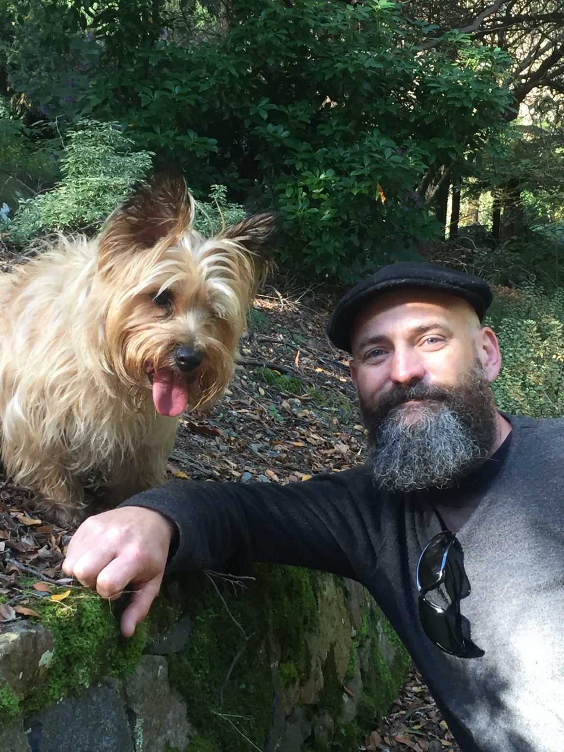 Matthew Nagle | Lantern Hill Landscapes